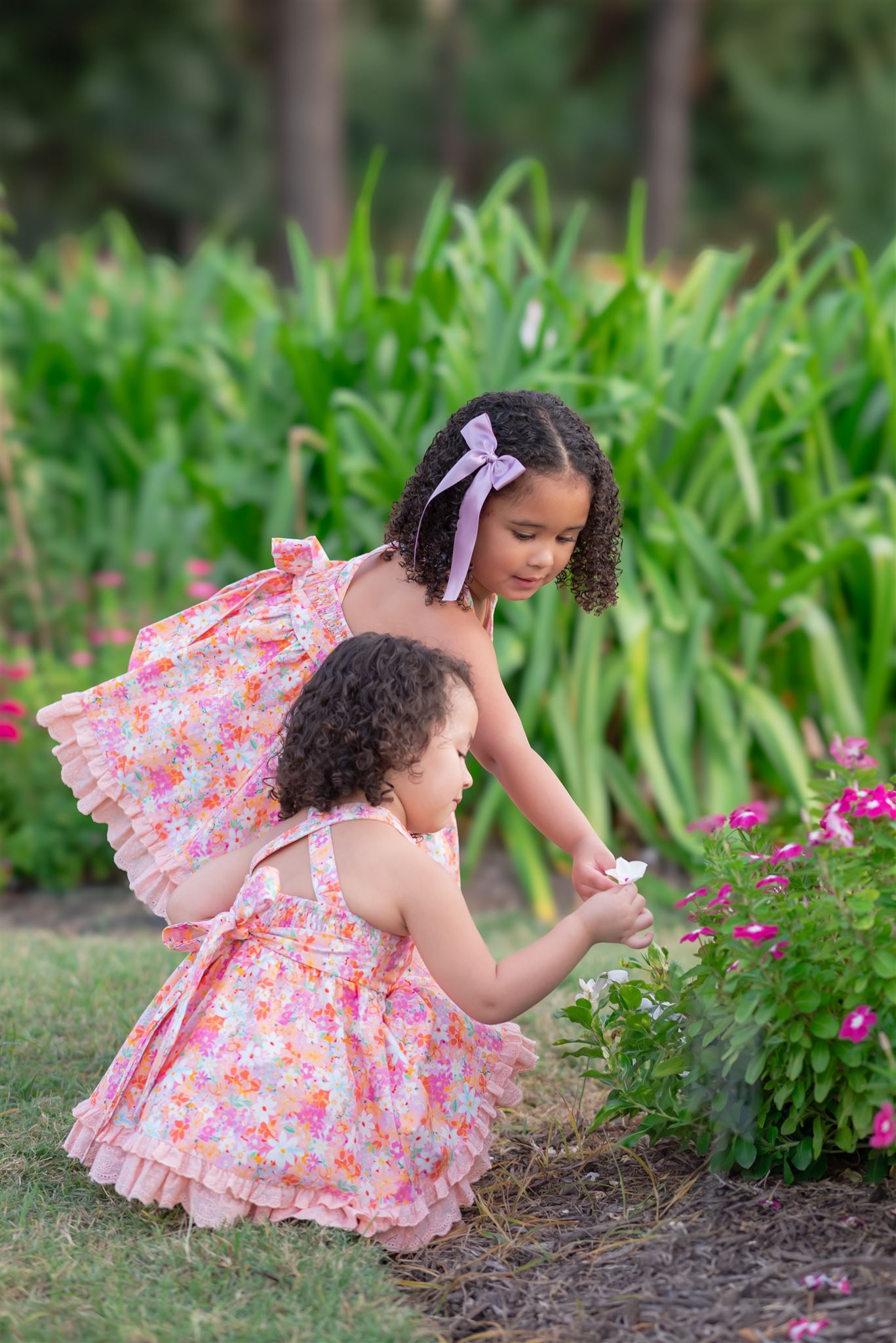 Spring 2025 Collection – Little Vine Co